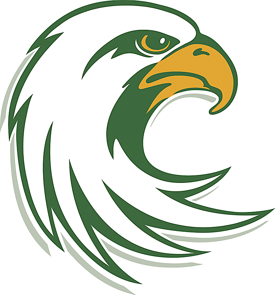 Jamestown CC Athletics To Host Basketball, Volleyball Camps | News ...